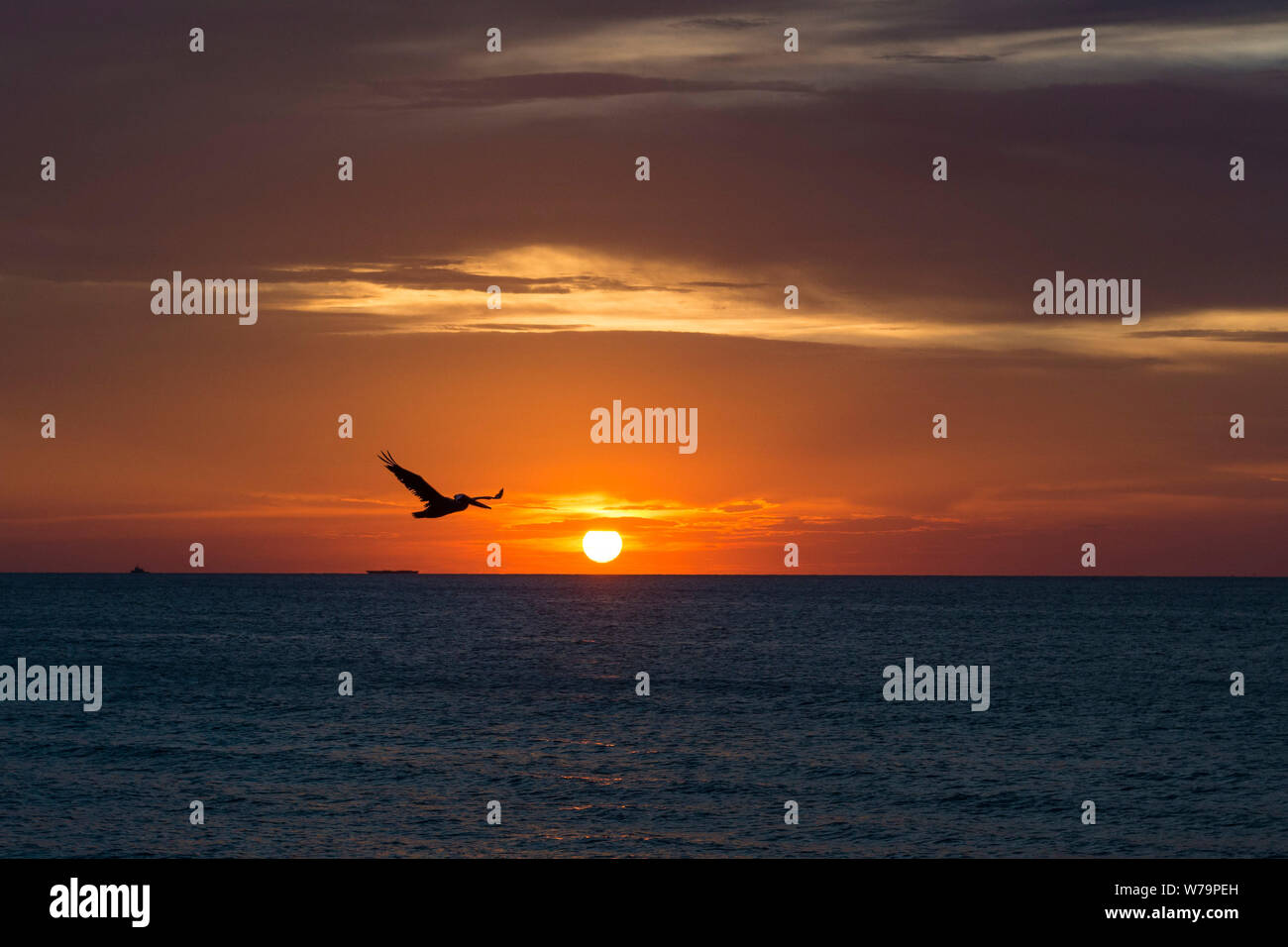 sunrise on Miami beach Stock Photo - Alamy