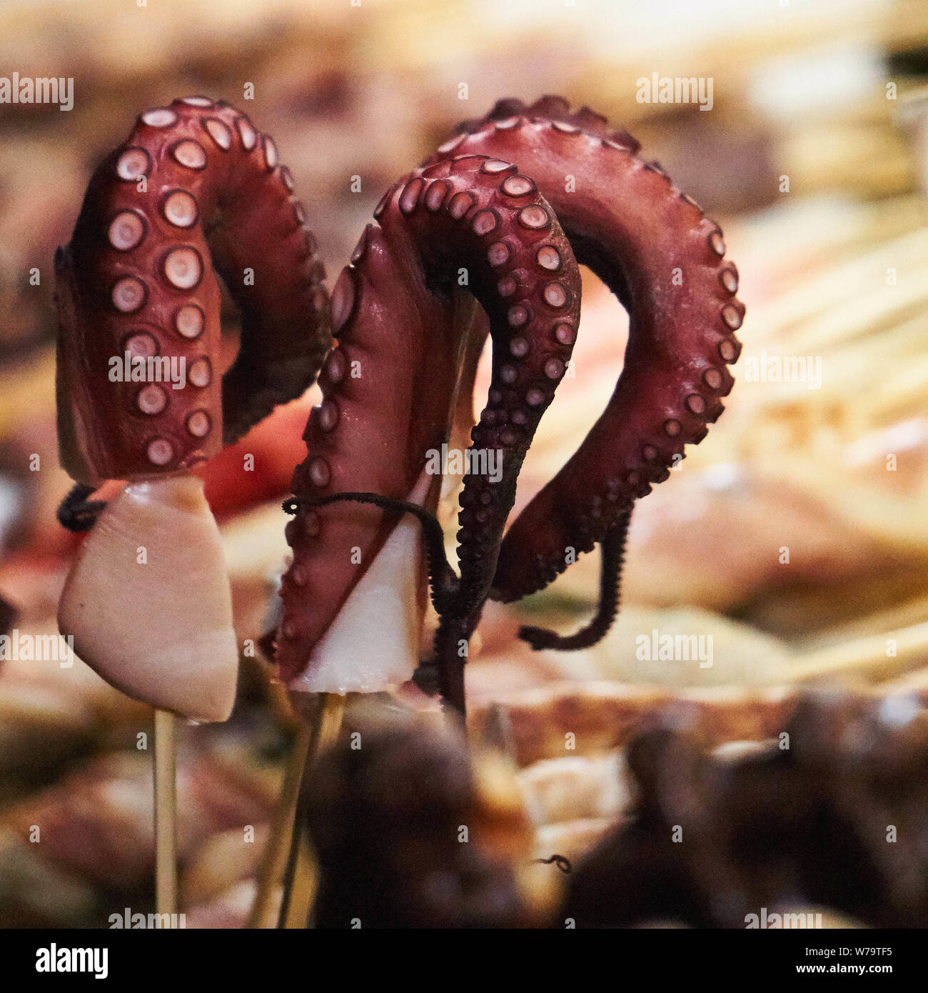 Tentacles Octopus High Resolution Stock Photography and Images - Alamy