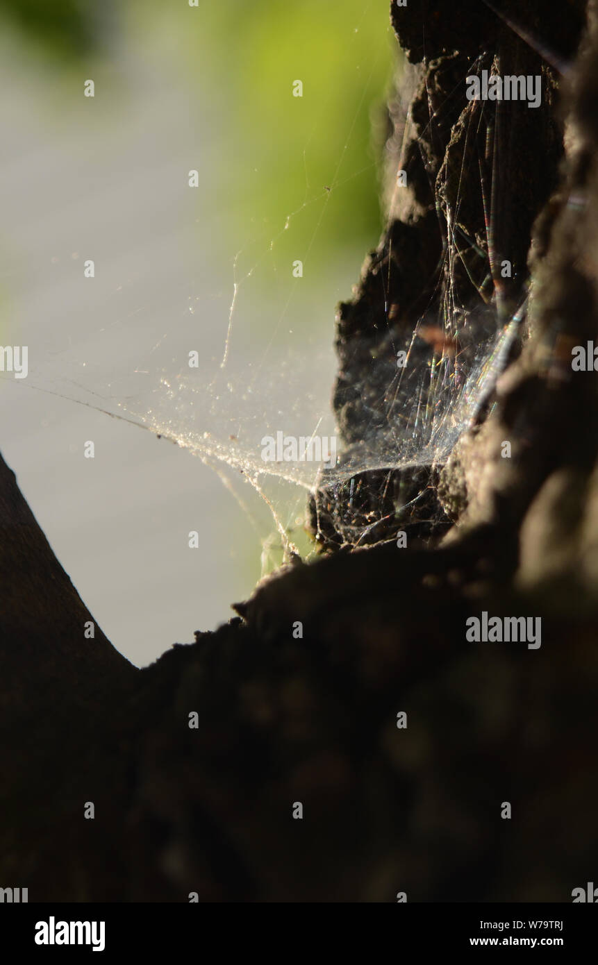 Craftily hi-res stock photography and images - Alamy