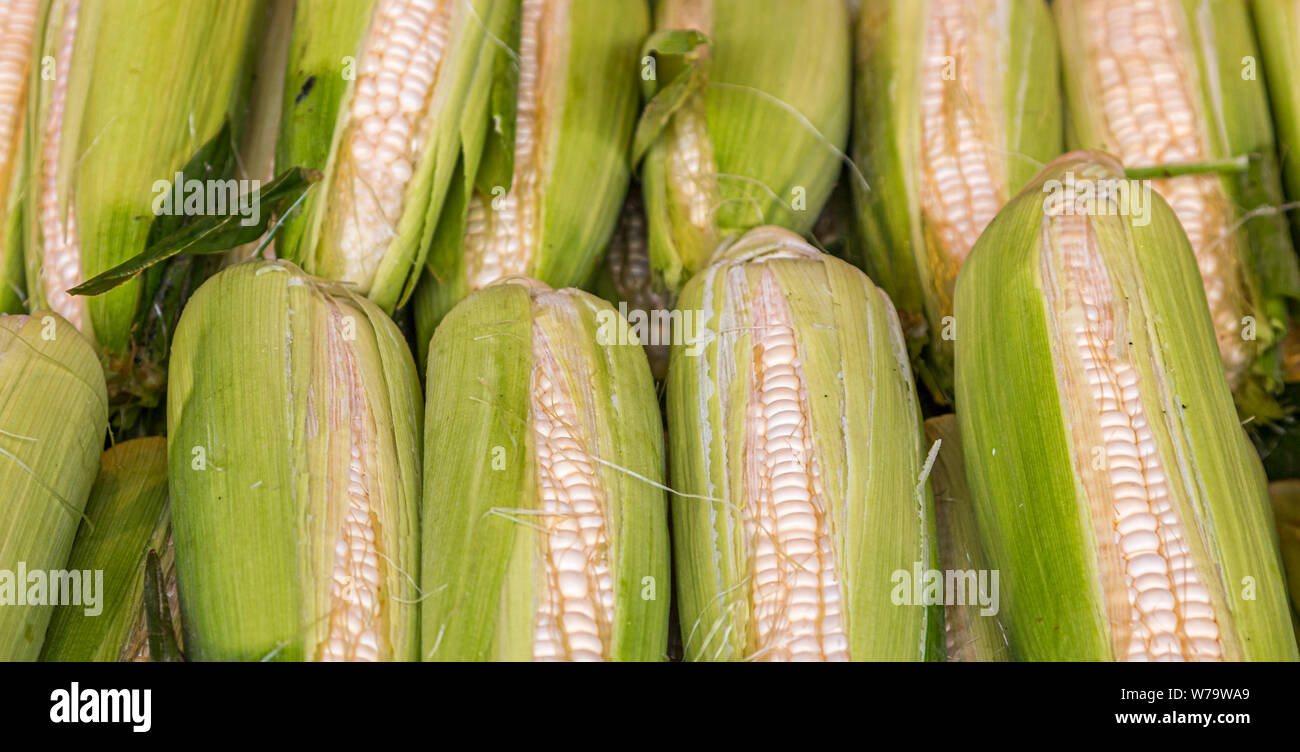Fresh market organic white corn hi-res stock photography and images - Alamy