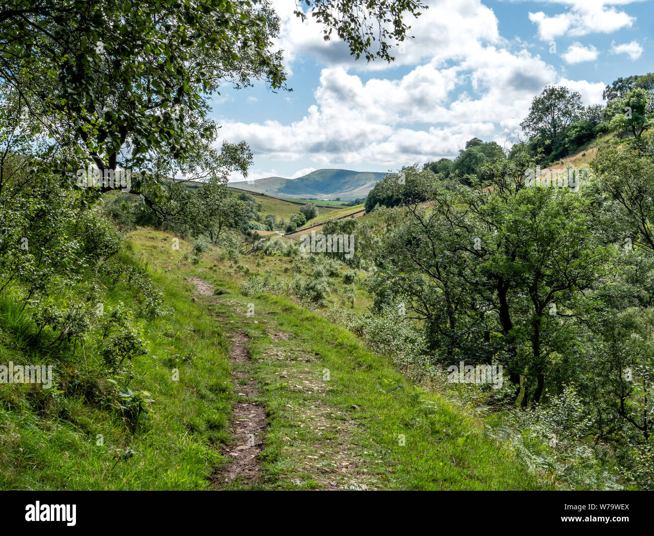 Gill beck woods hi-res stock photography and images - Alamy