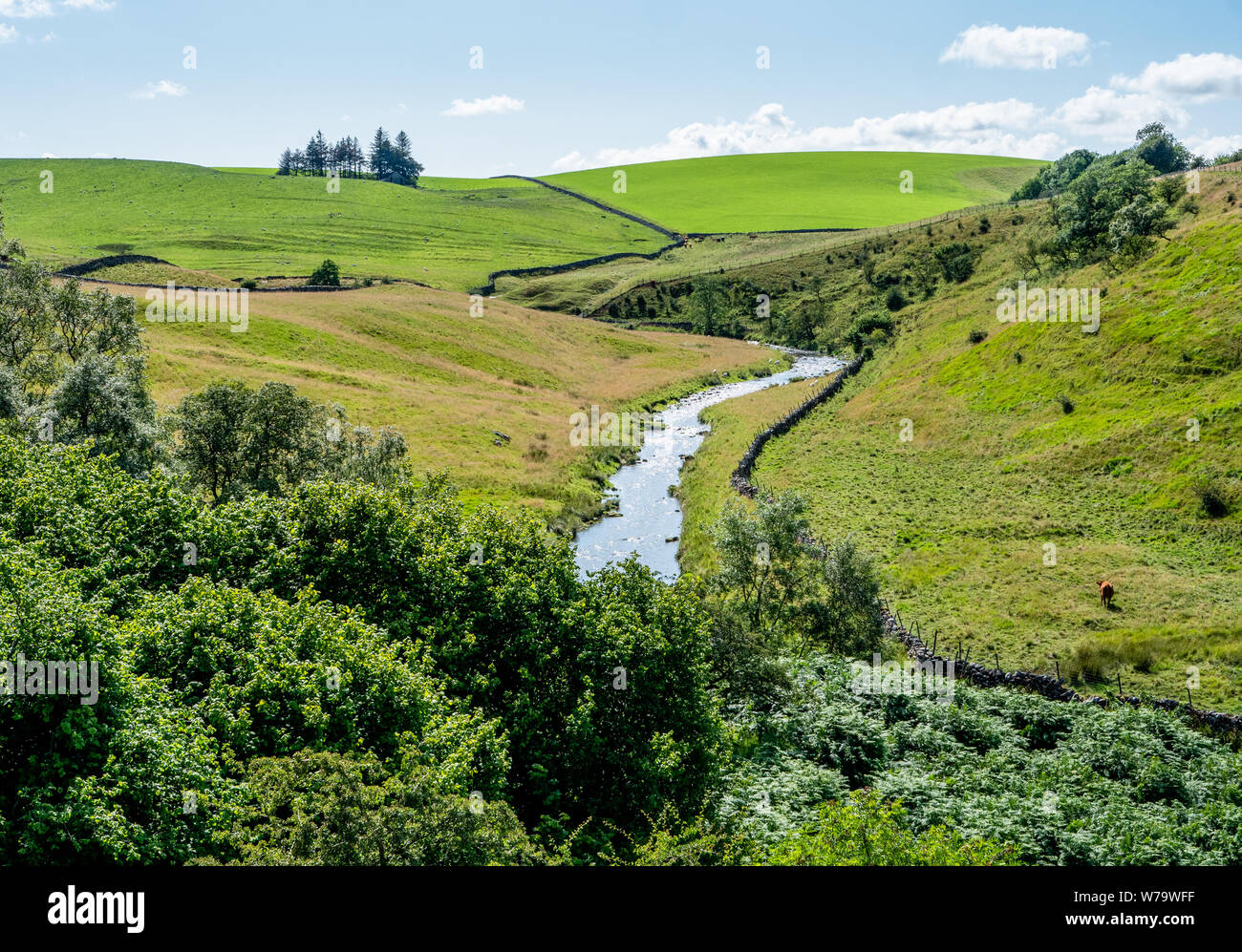 Nature reserves in england hi-res stock photography and images - Alamy