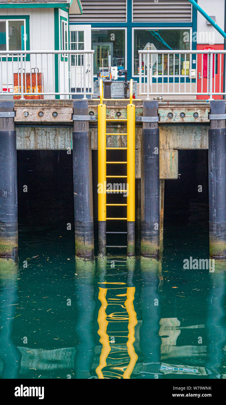 Yellow Ladder Into Green Stock Photo - Alamy