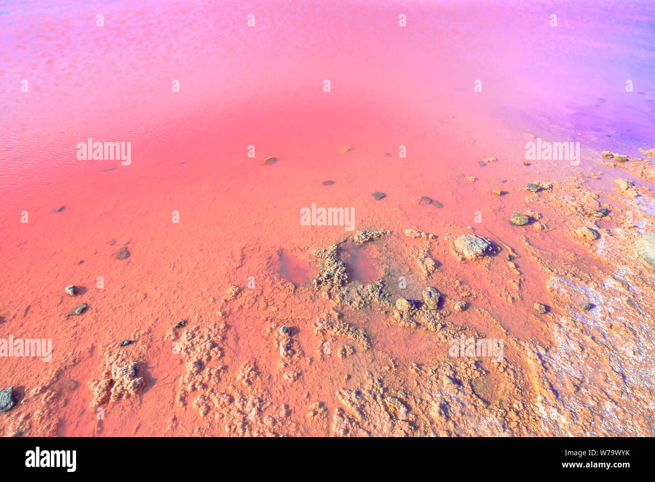 Natural Pink Lake shore backgroung. Details of Salt Lake in Gregory ...