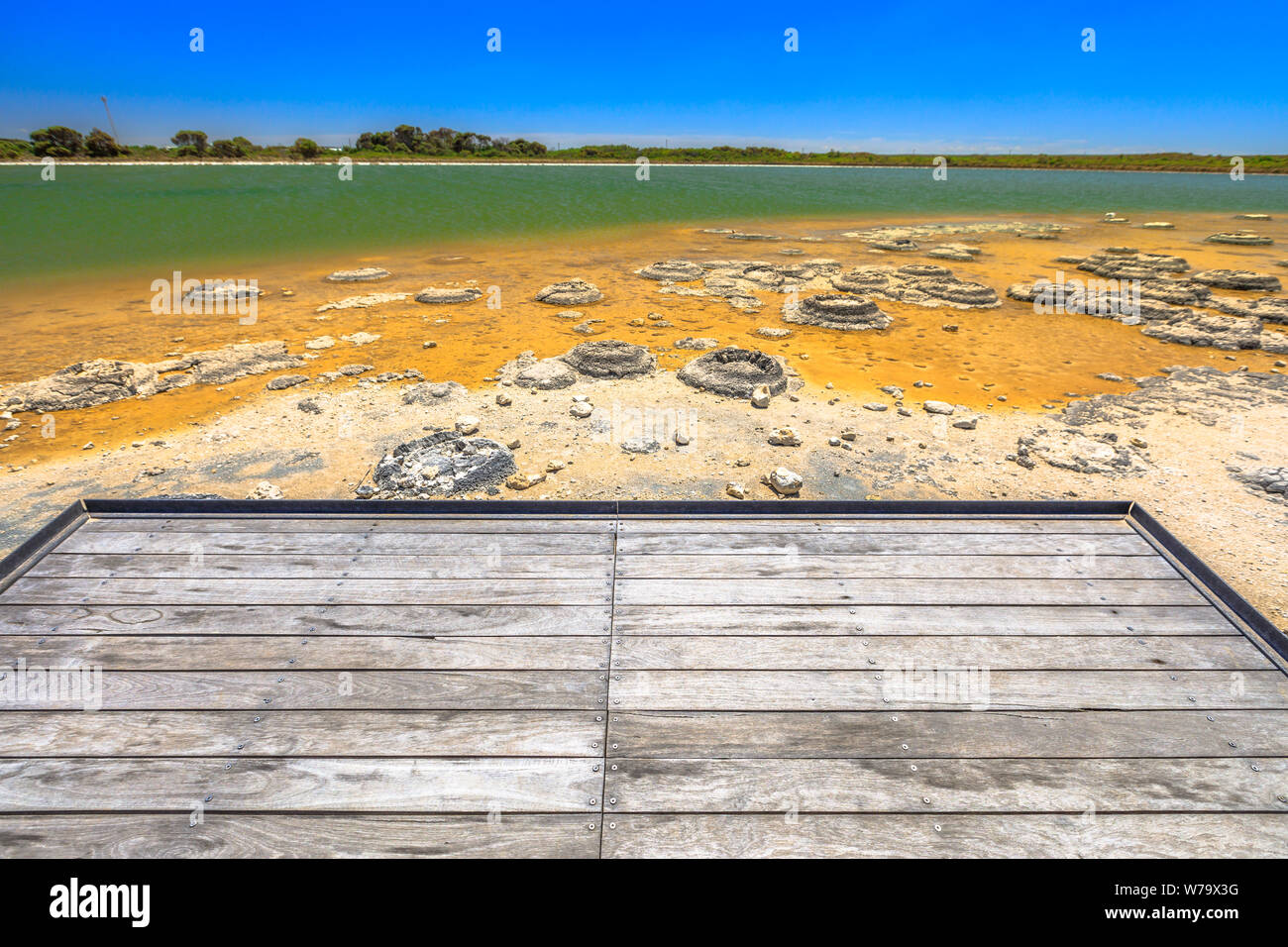 Australian landscape of Stromatolites at Lake Thetis, a saline coastal ...