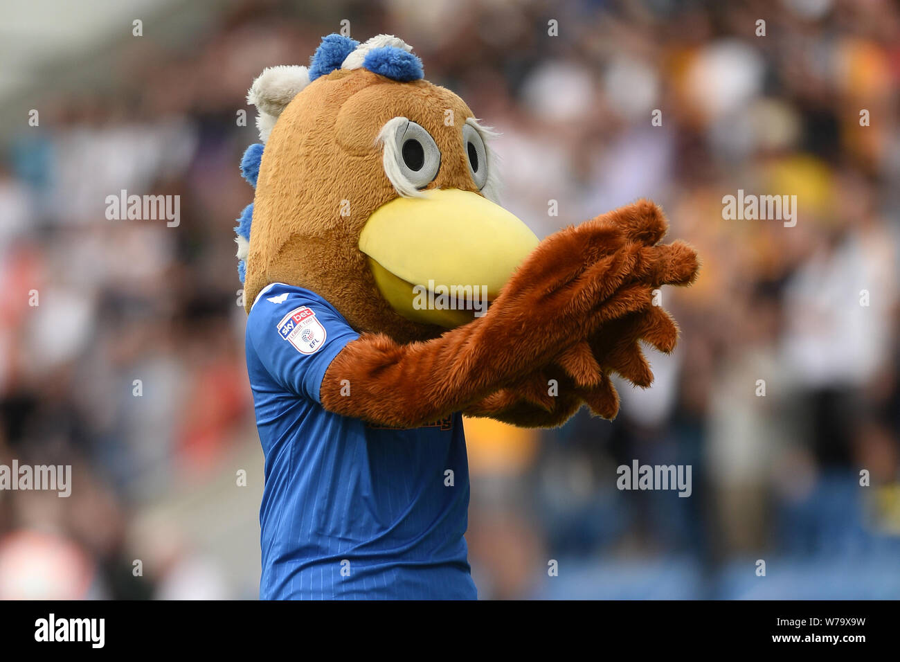 Colchester united mascot hi-res stock photography and images - Alamy