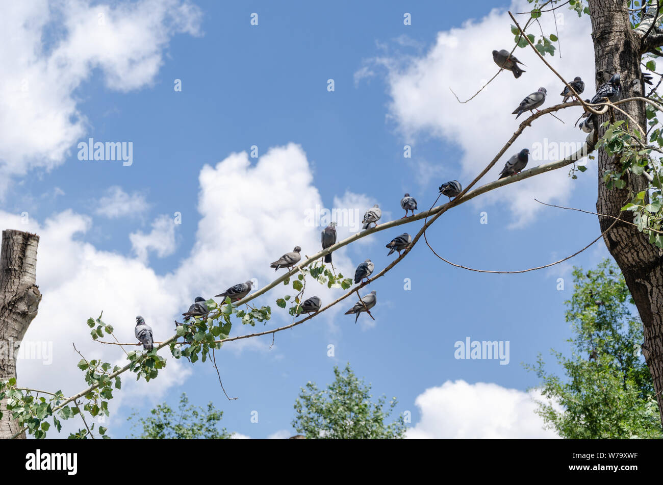 Shooting from below hi-res stock photography and images - Alamy