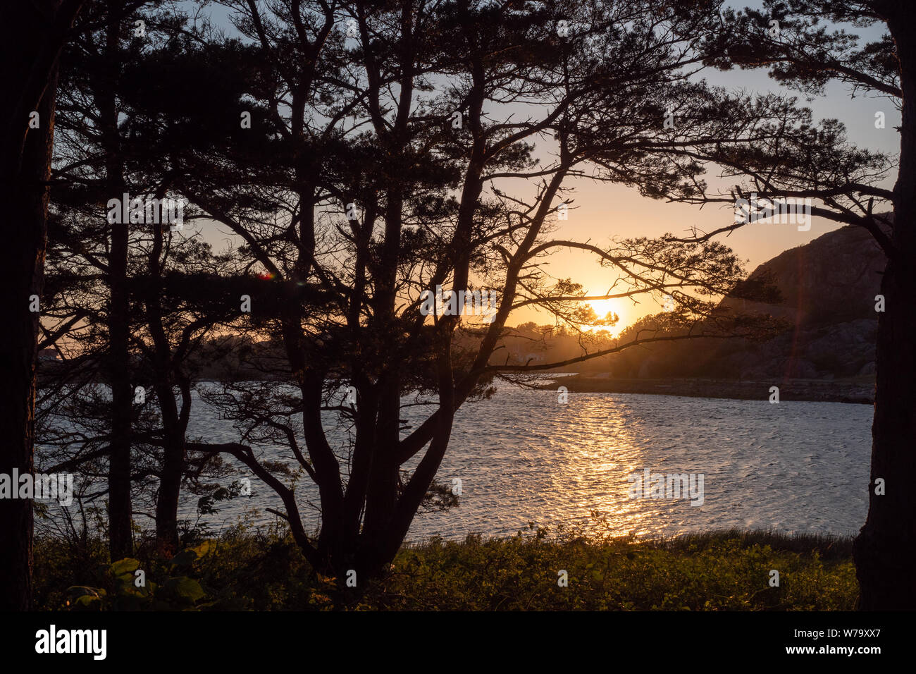 sunset in midsummer Stock Photo - Alamy