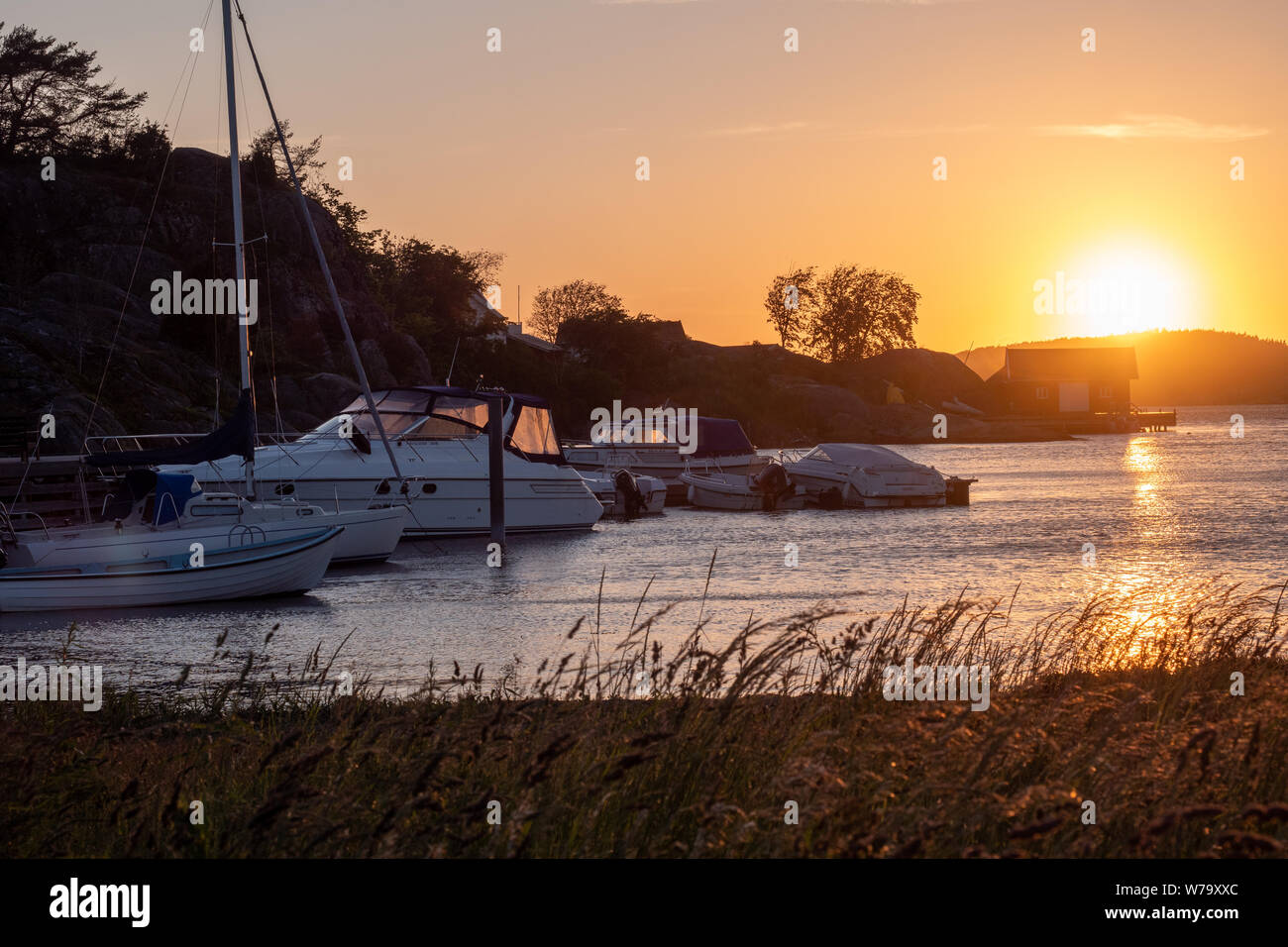 sunset in midsummer Stock Photo - Alamy