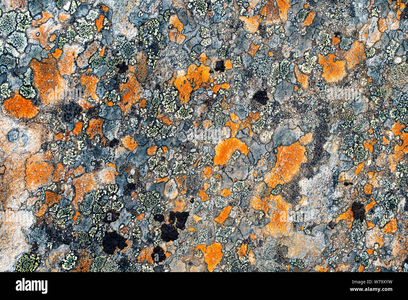 rock structure background Stock Photo - Alamy