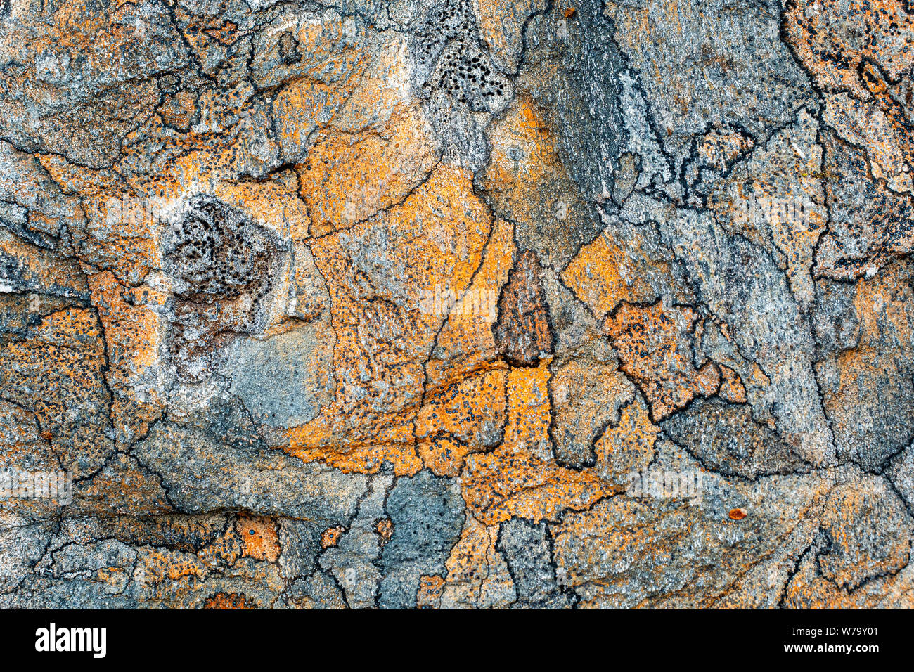 rock structure background Stock Photo - Alamy