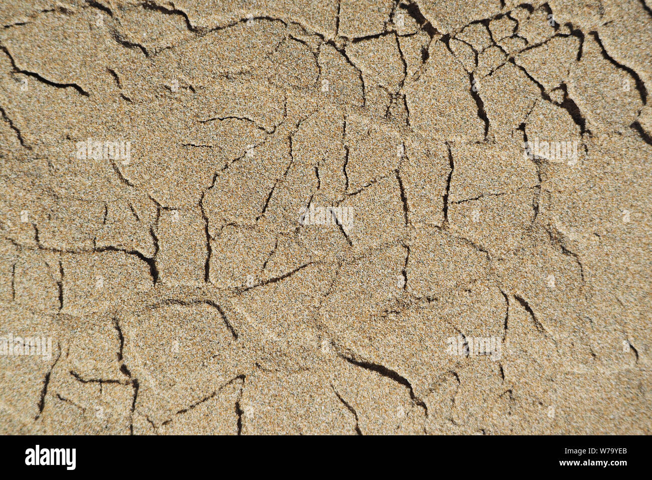 The sand is cracked. View from top to bottom. Abstract background Stock ...