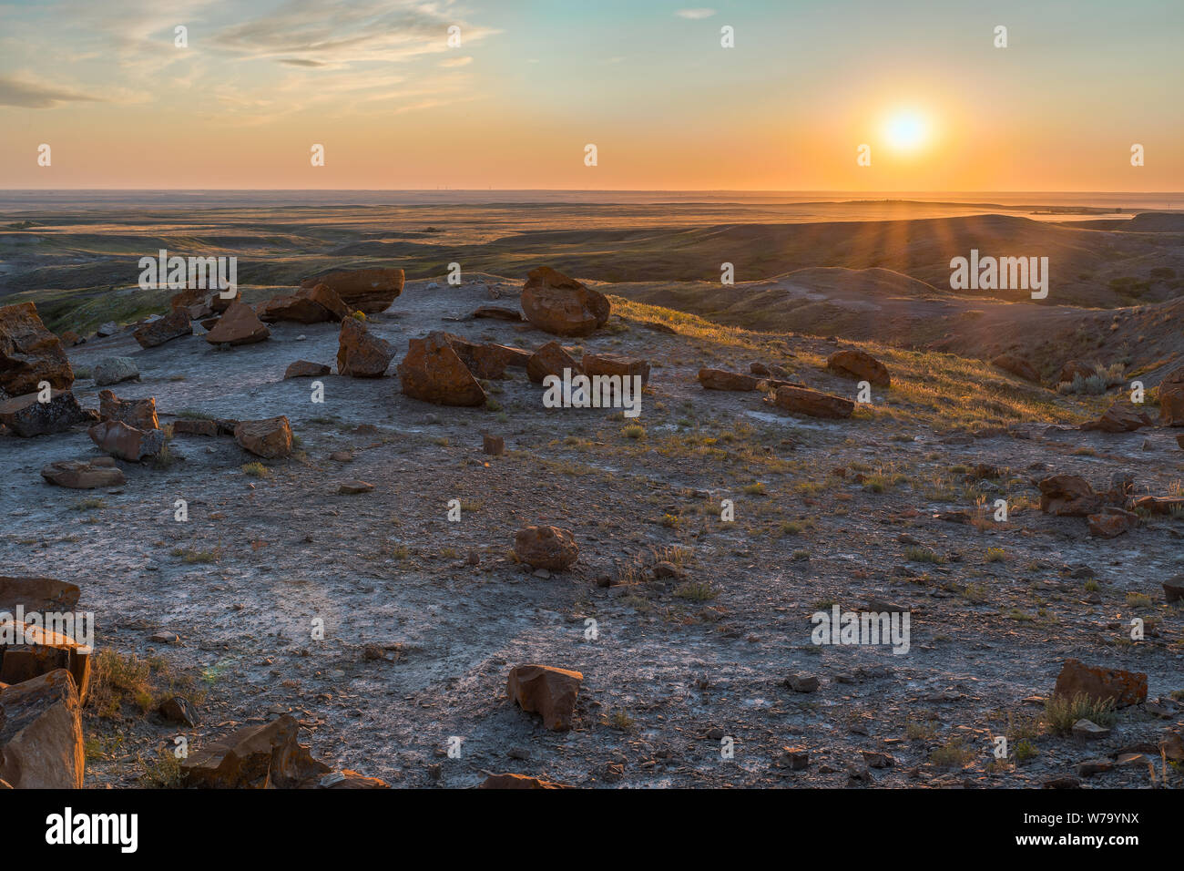 Spherical sandstone concretions hi-res stock photography and images - Alamy