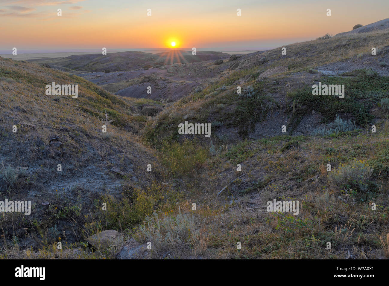 Spherical sandstone concretions hi-res stock photography and images - Alamy