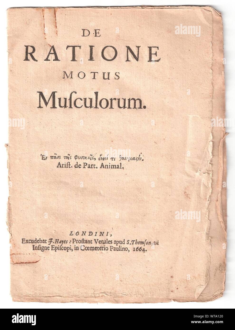 De Ratione Motus Musculorum 0 Stock Photo - Alamy
