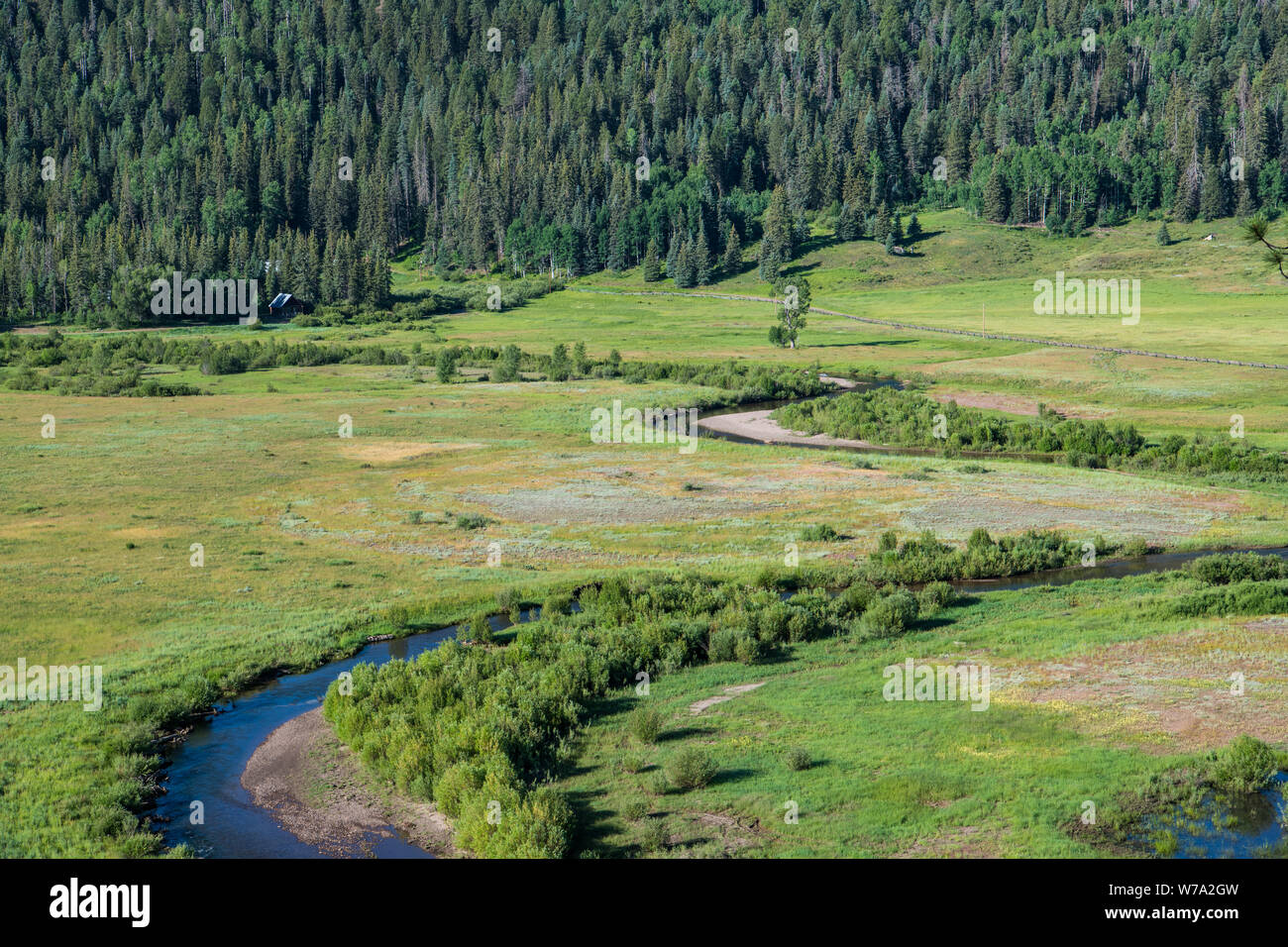 A stream winds through a valley beneath a forest of spruce and pine ...