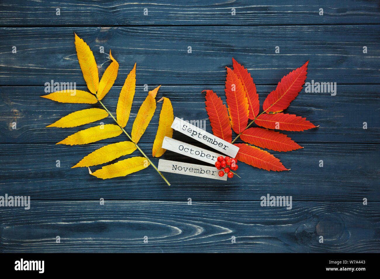 Autumn composition with red leaves next to bars with names of months ...