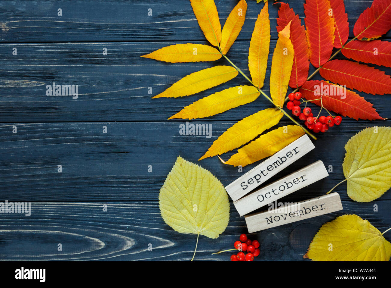 Autumn composition with red leaves next to bars with names of months ...