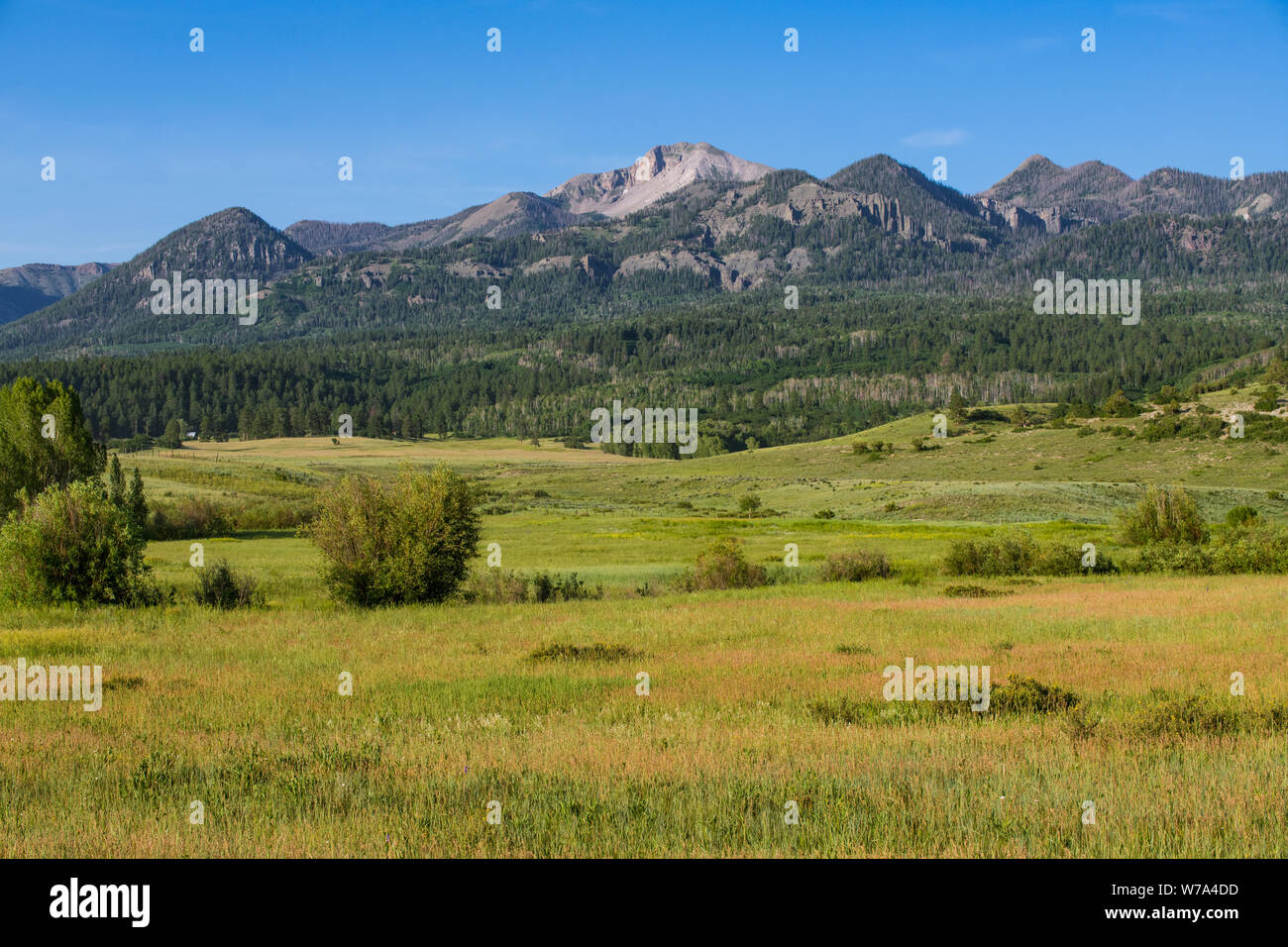 Grassy fields hi-res stock photography and images - Alamy
