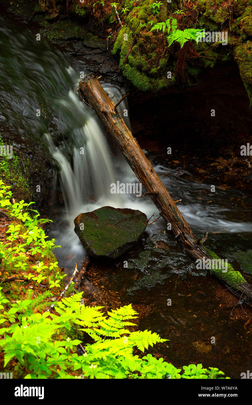 Cascade along Big Falls Trail, Sir Richard Squires Memorial Provincial ...