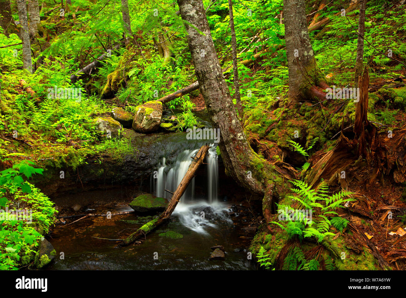 Cascade along Big Falls Trail, Sir Richard Squires Memorial Provincial ...