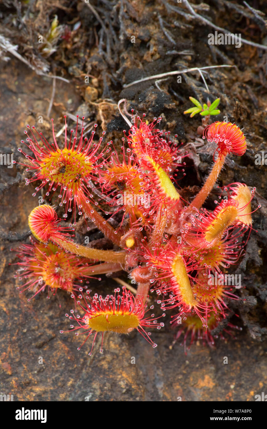 Labrador canada mountains hi-res stock photography and images - Alamy