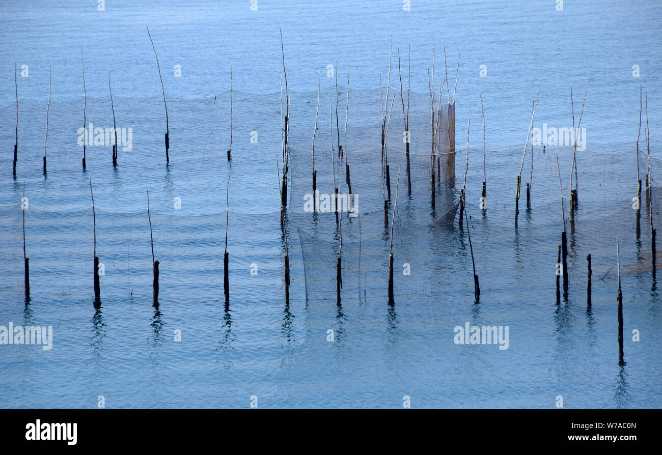 Fishing Weir, Grand Manan Island Stock Photo - Alamy Fishing Weir, Grand Manan Island Stock Photo - Alamy