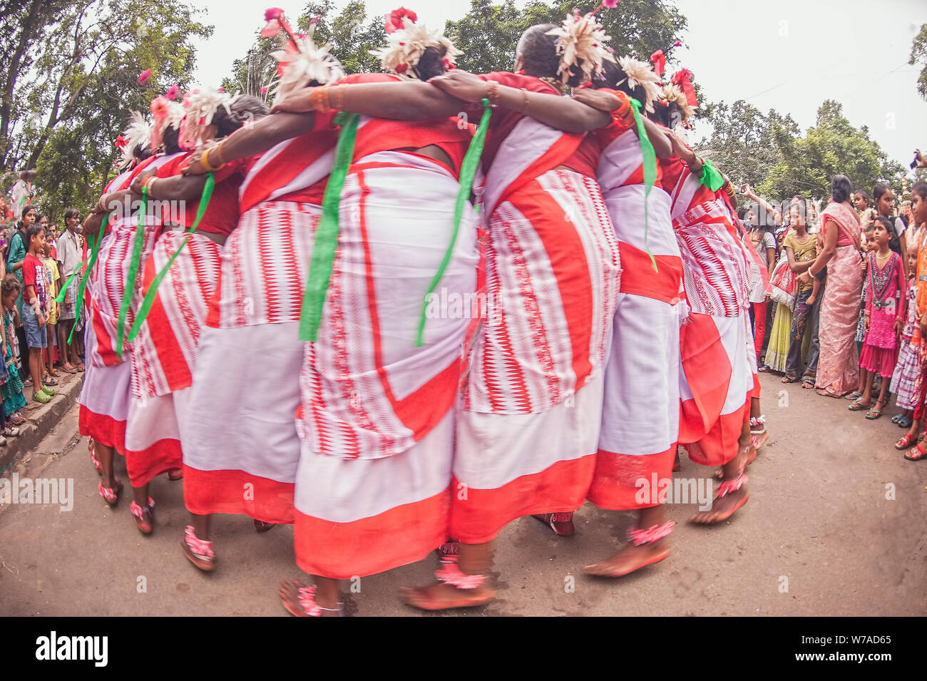 Bankura,tribal Santhal,female ,dancers,forming,human chain,while ...