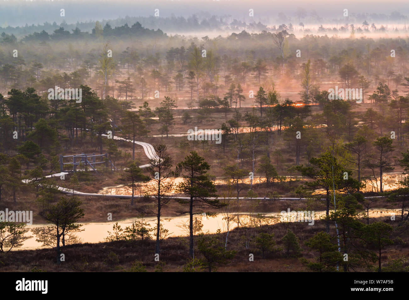 Scene scenic swamp view hi-res stock photography and images - Alamy