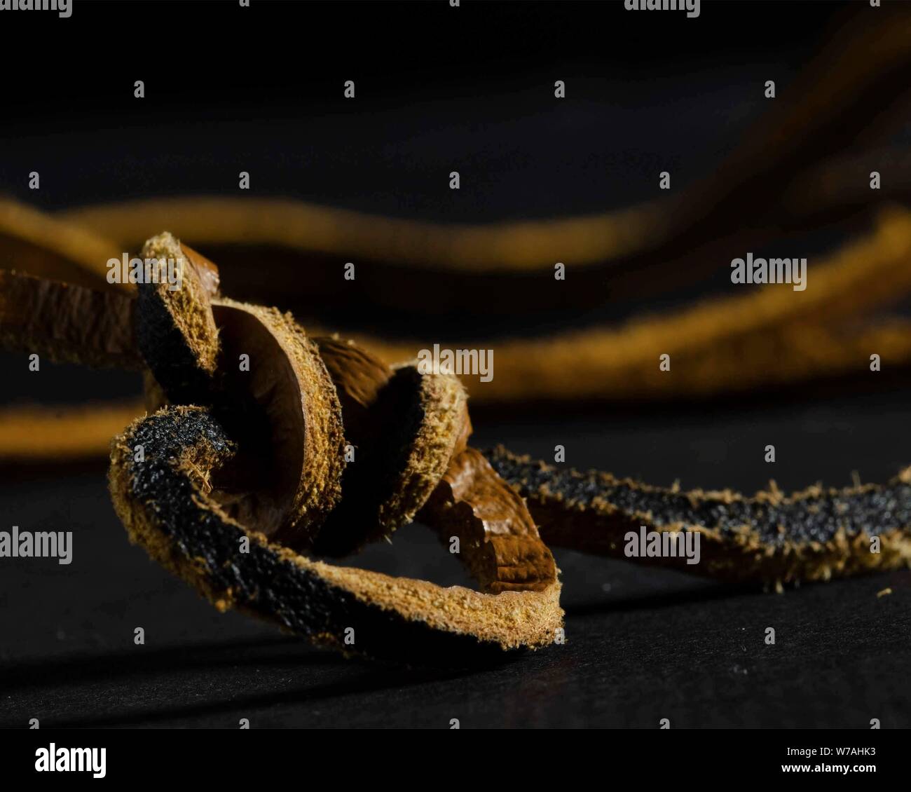 Artistic masculinity imagery hi-res stock photography and images - Alamy