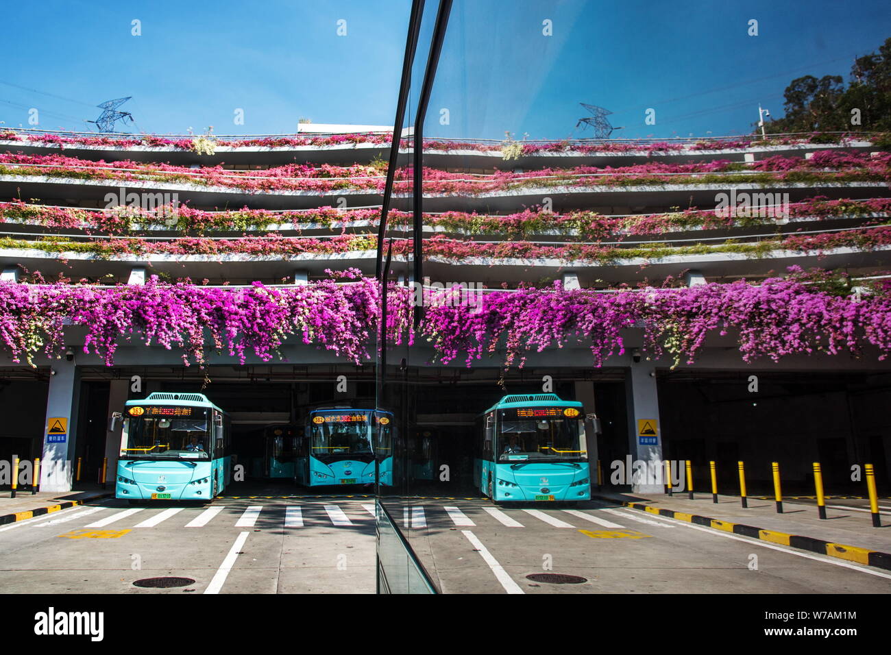Garden buses hi-res stock photography and images - Alamy