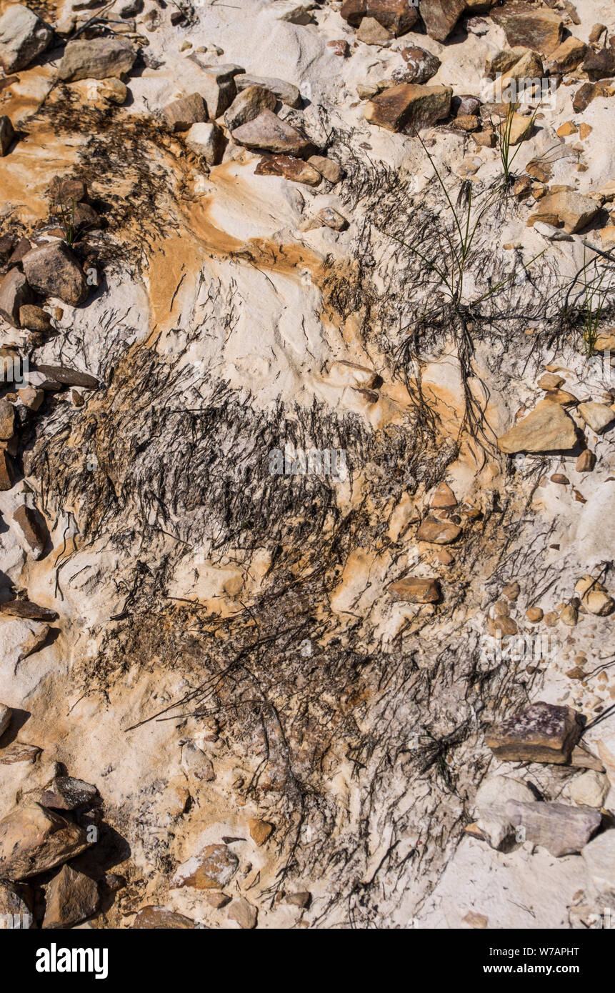 different layers of soil and sand, traces of streams in the sand and ...