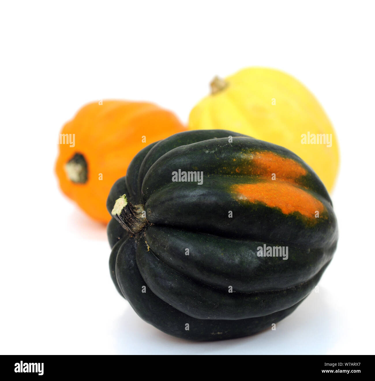 colorful acorn squash Stock Photo - Alamy