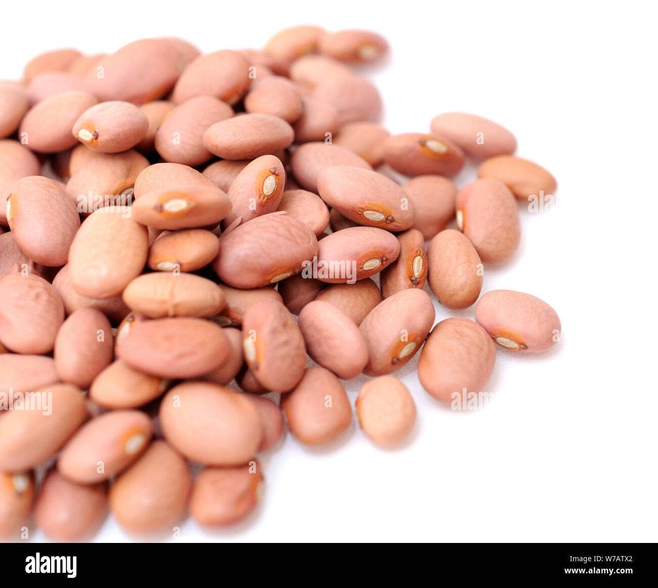 a group of pink beans on white background Stock Photo - Alamy