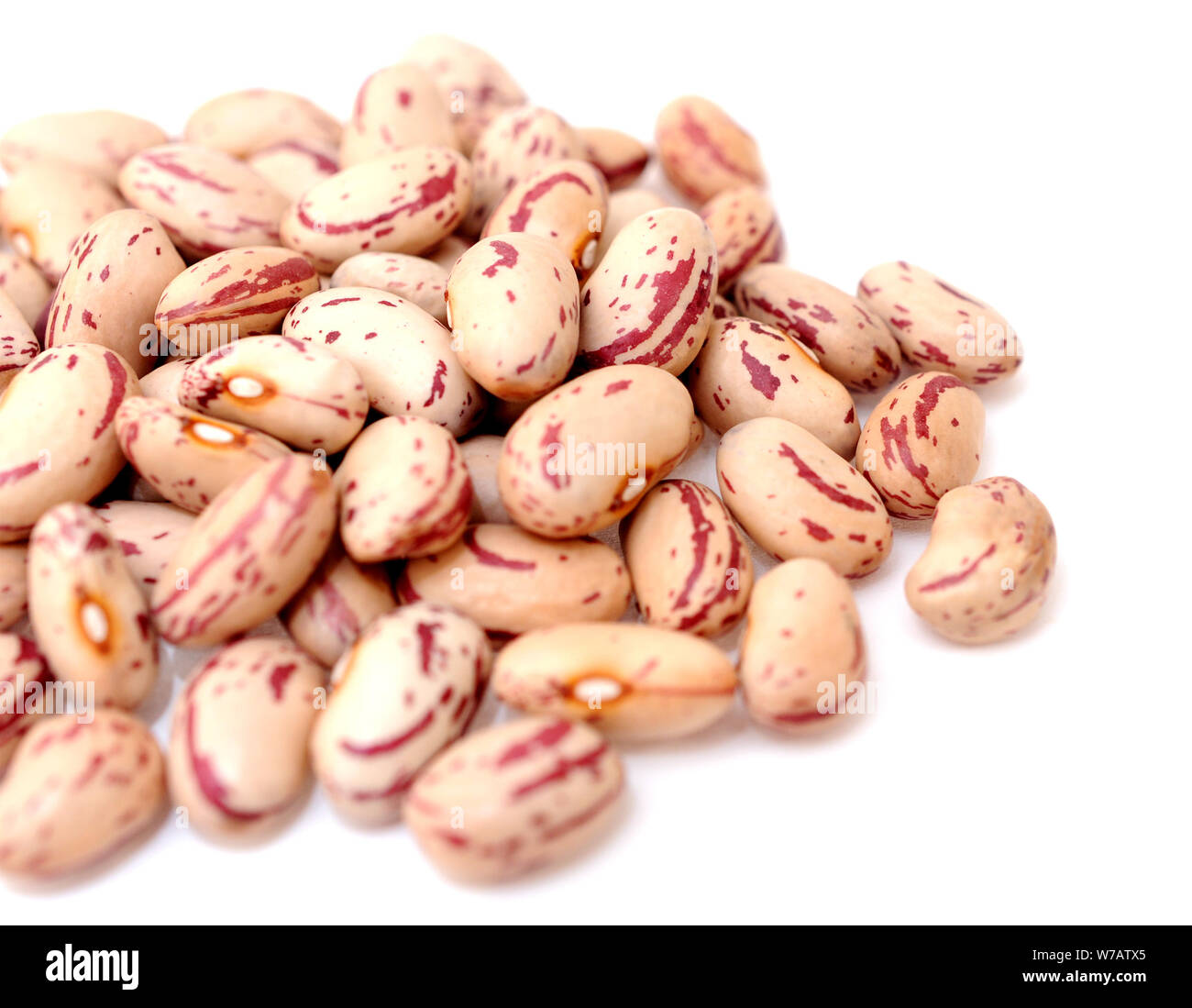roman bean on white background Stock Photo - Alamy