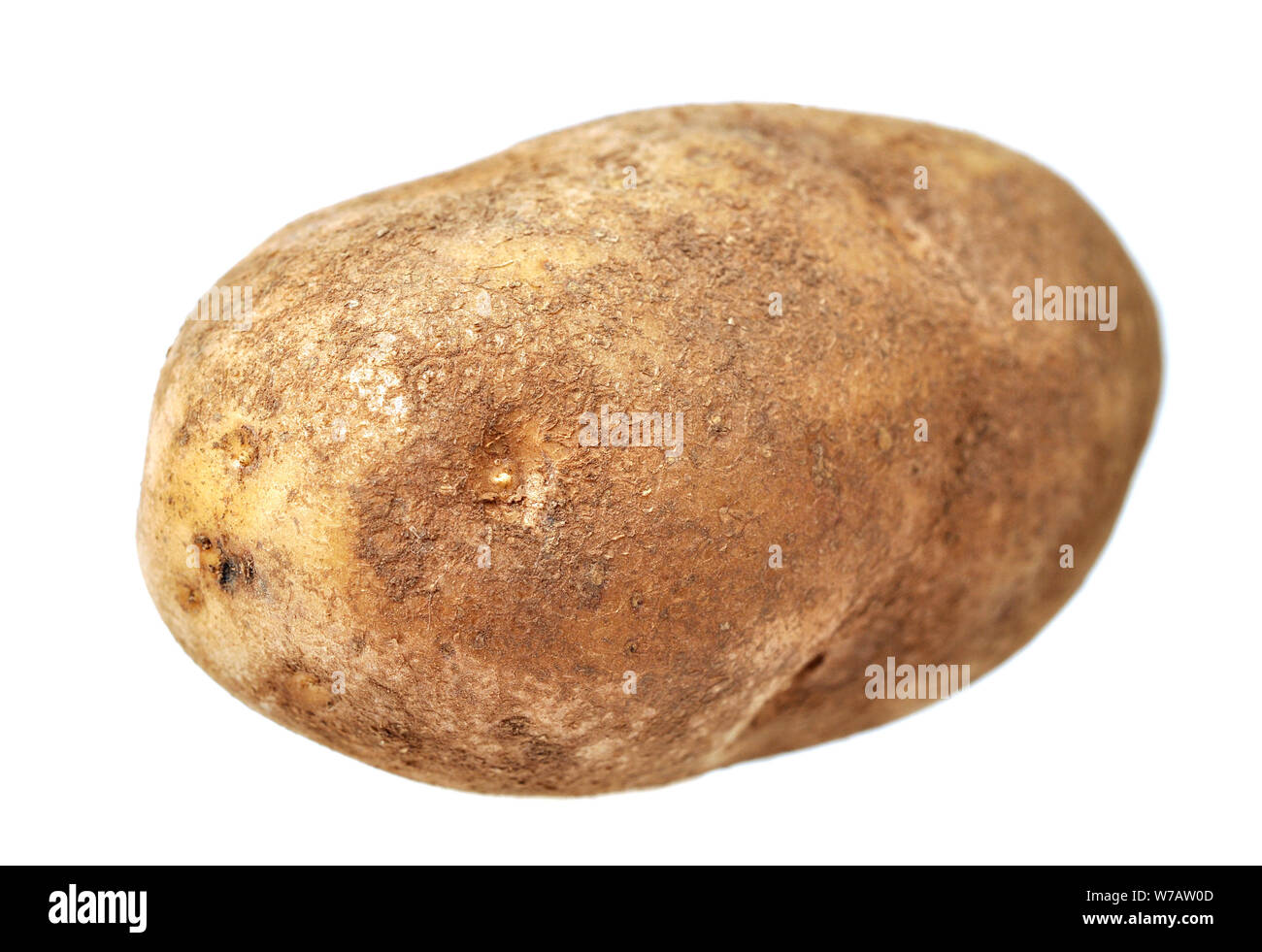 single potatoe isolated on white background Stock Photo - Alamy
