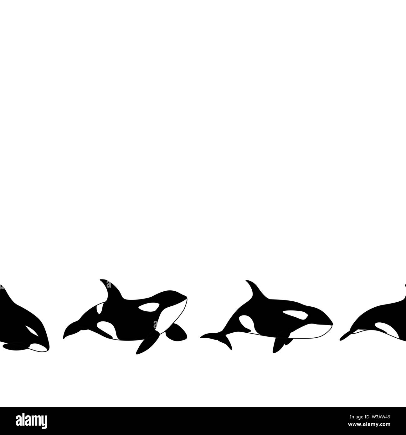 Vector seamless border of graphical killer whale swimming on white ...