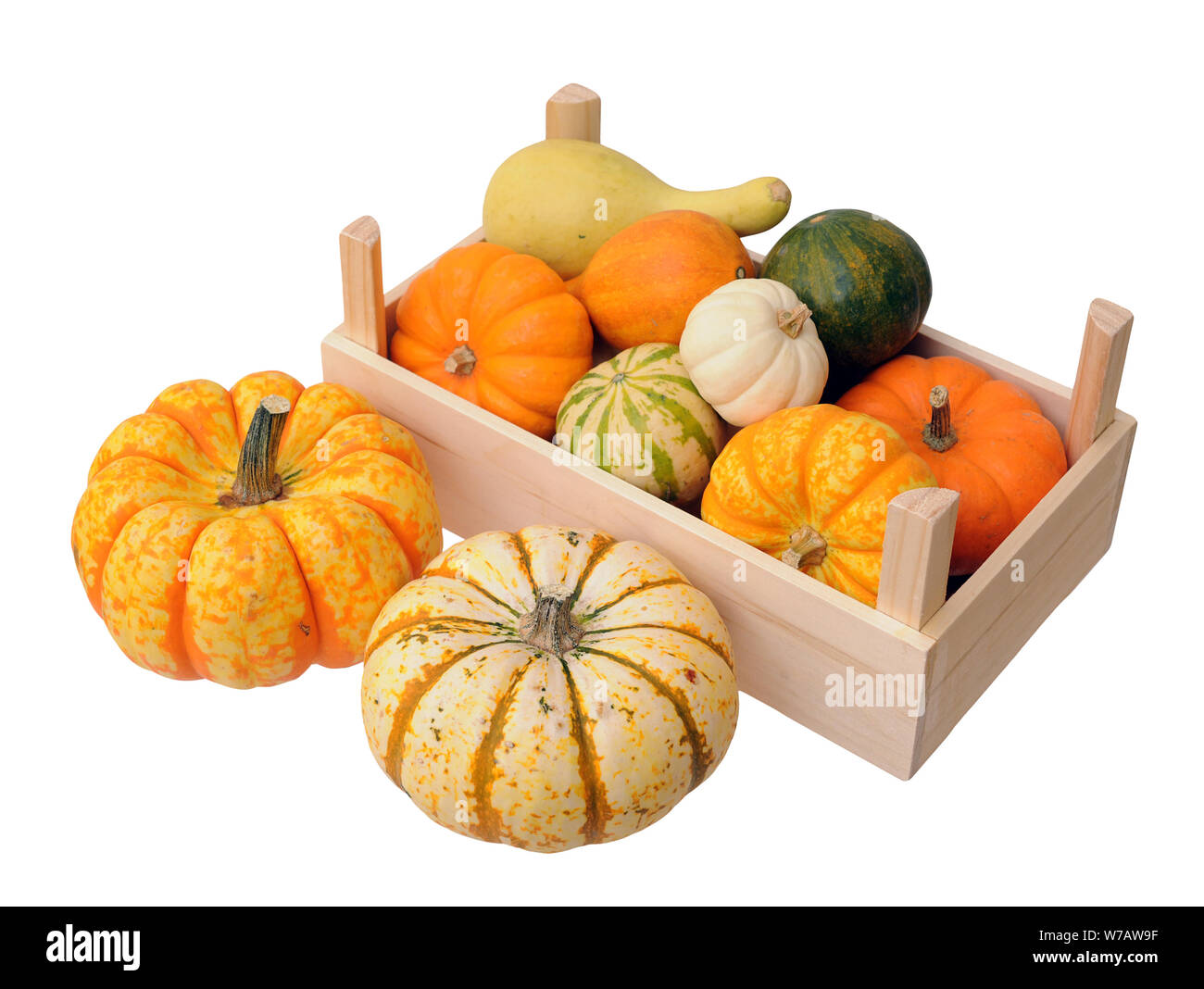 mini pumpkin in crate isolated on white background Stock Photo - Alamy