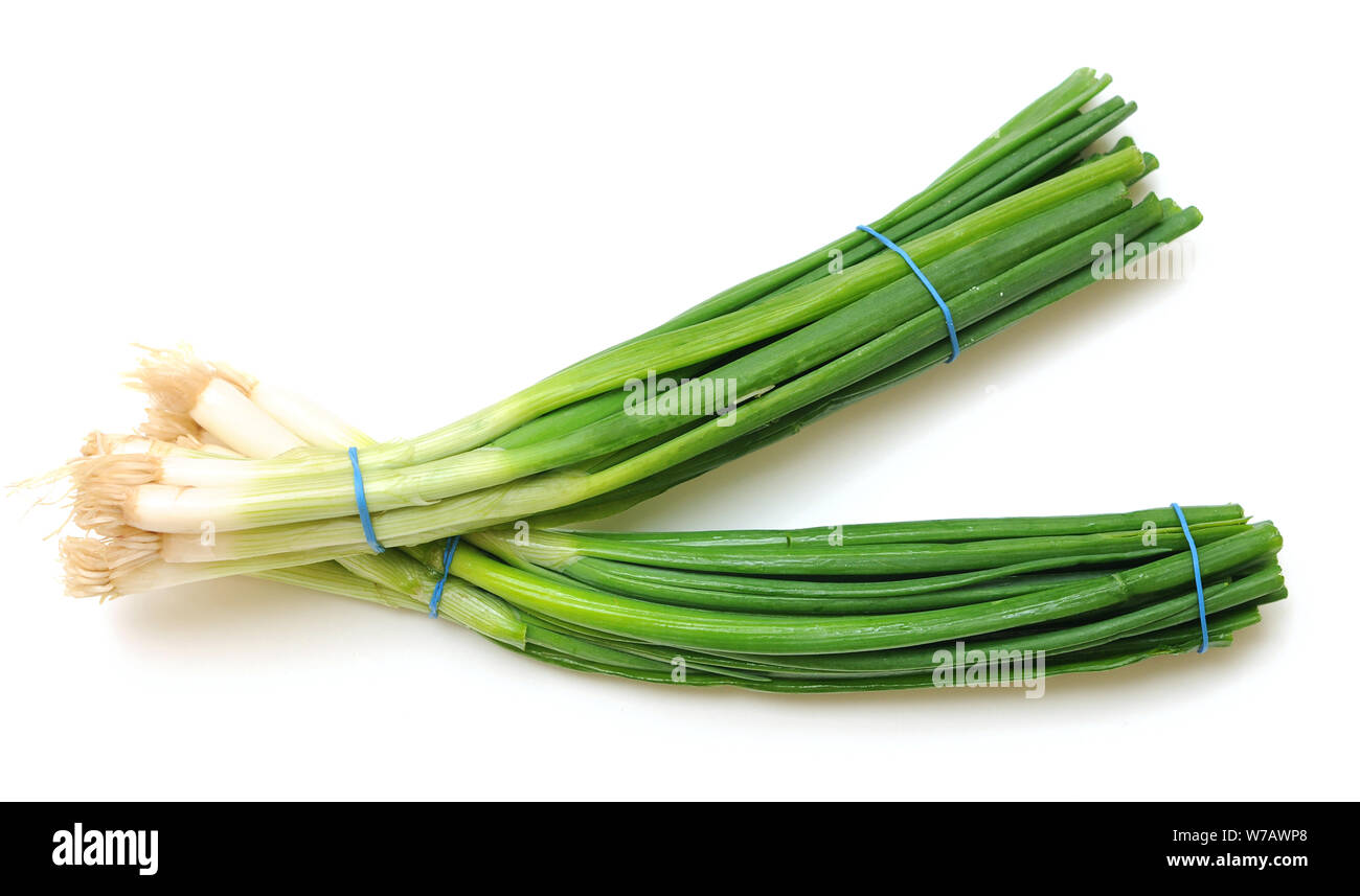 two bunches of fresh onion leaves on white backgrounf Stock Photo - Alamy