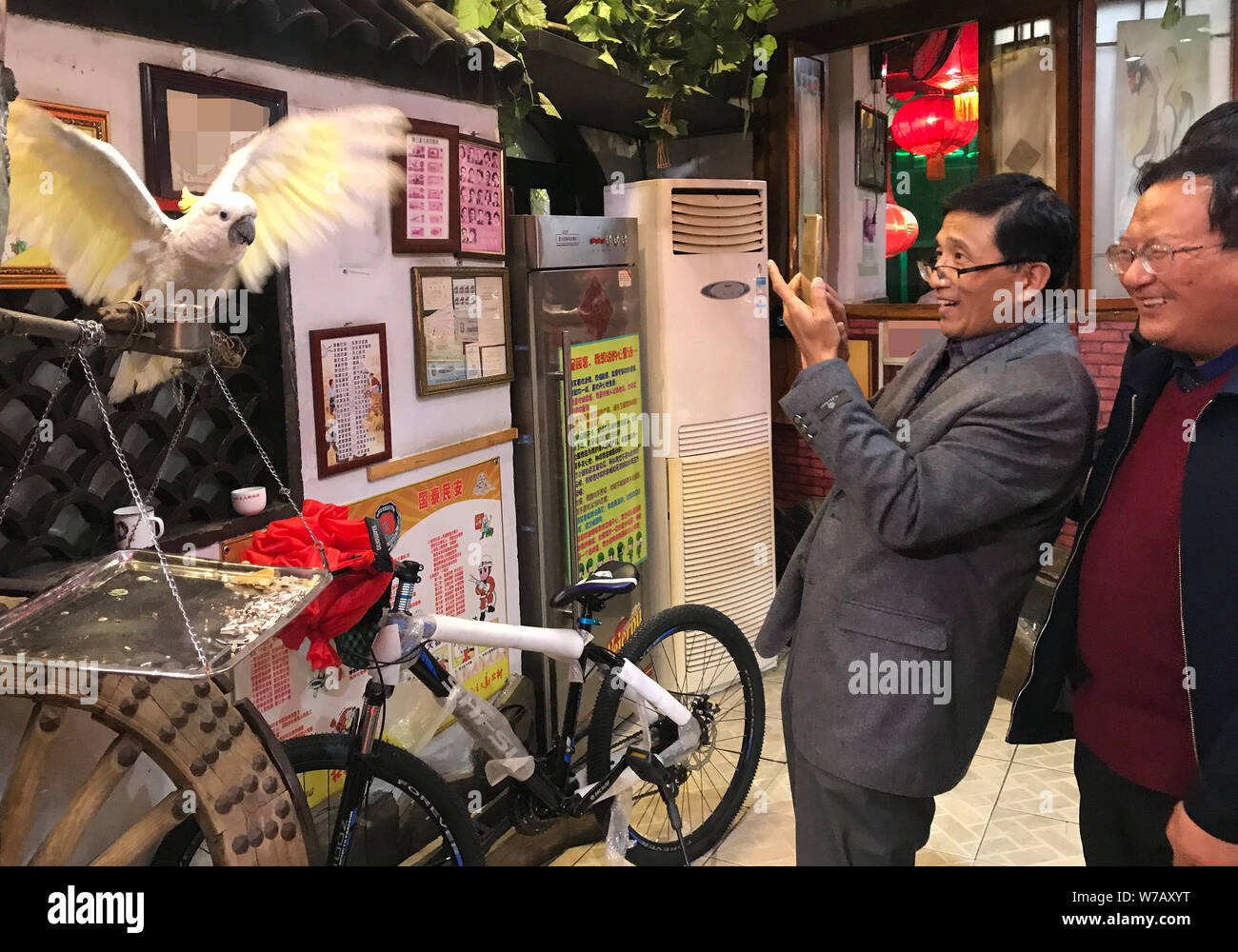 A customer takes photos of the 23-year-old sulphur-crested cockatoo ...