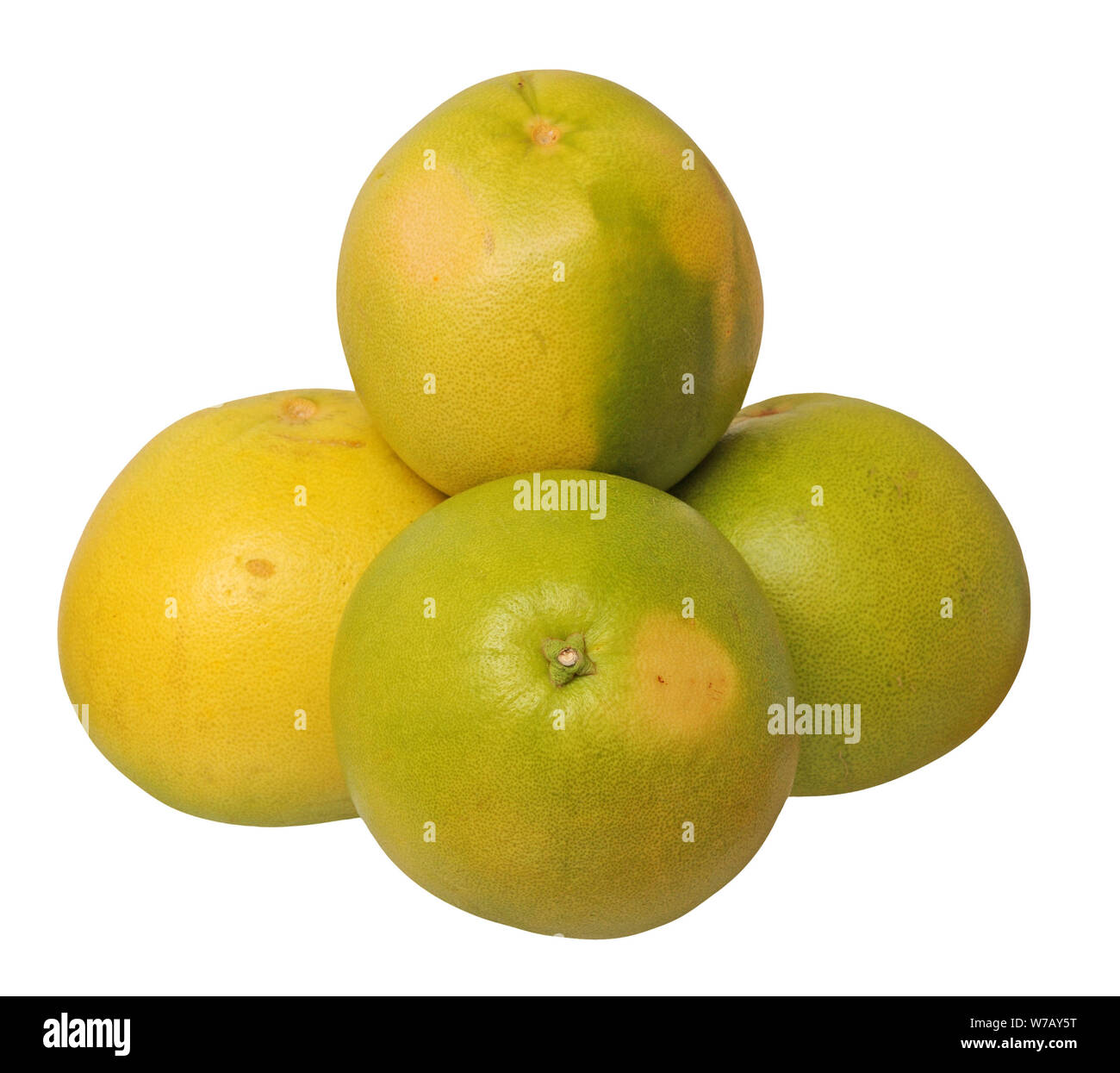 four big pomelo isolated on white background Stock Photo - Alamy