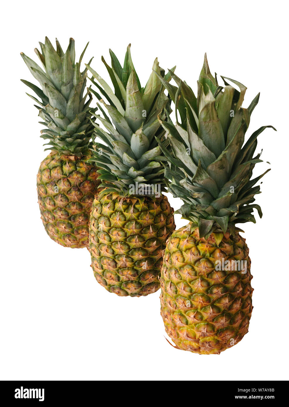 three fresh and juicy pineapples on white background Stock Photo - Alamy