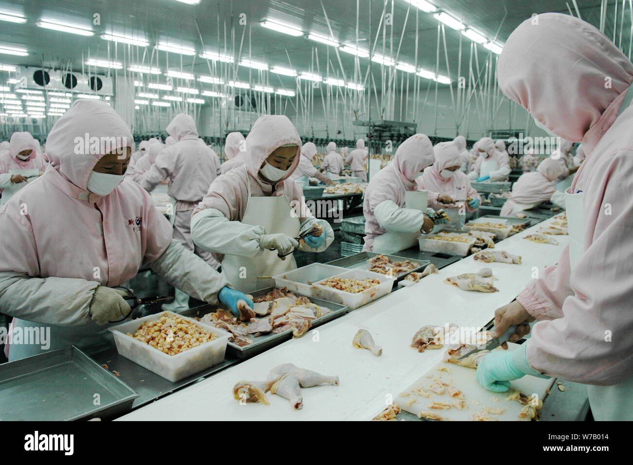 China chicken processing plant hi-res stock photography and images - Alamy