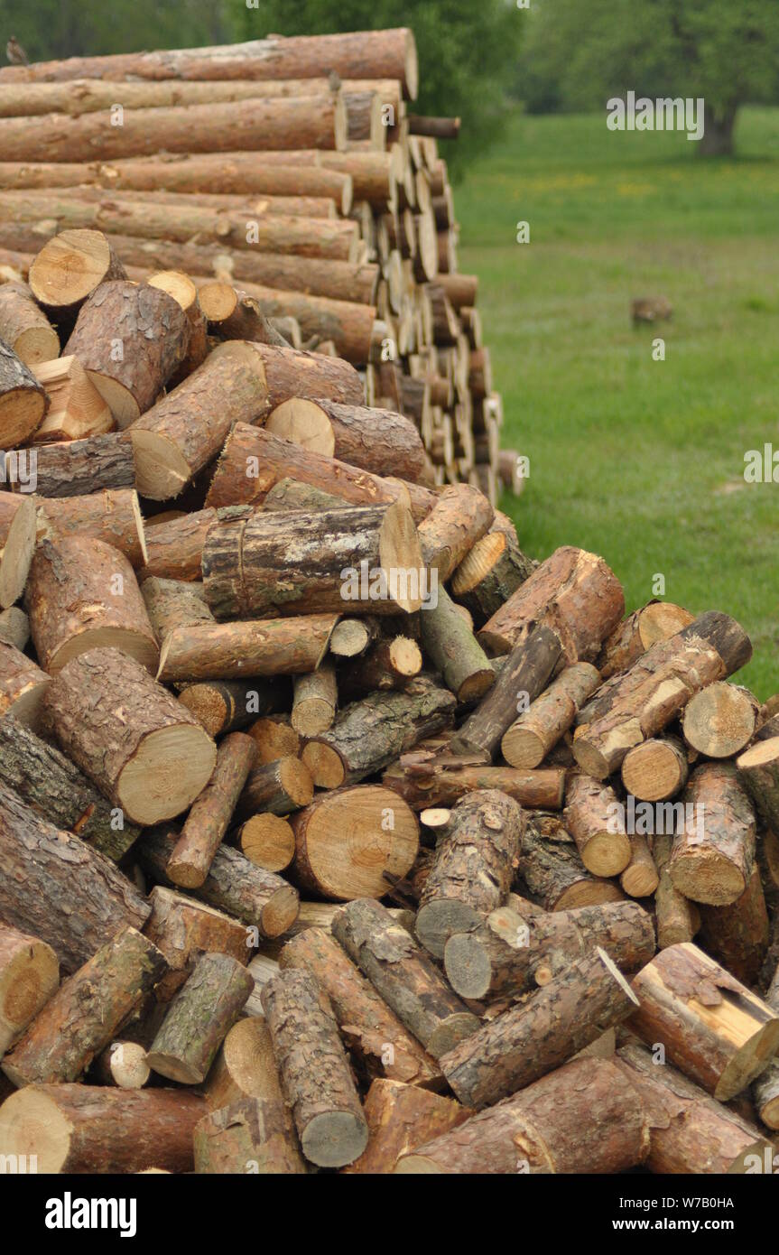 Firewood, preparations for the winter Stock Photo - Alamy