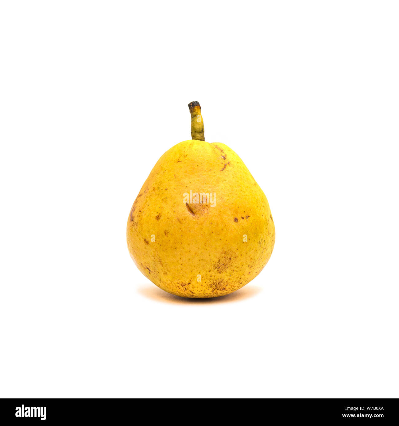 Free natural pear hi-res stock photography and images - Alamy