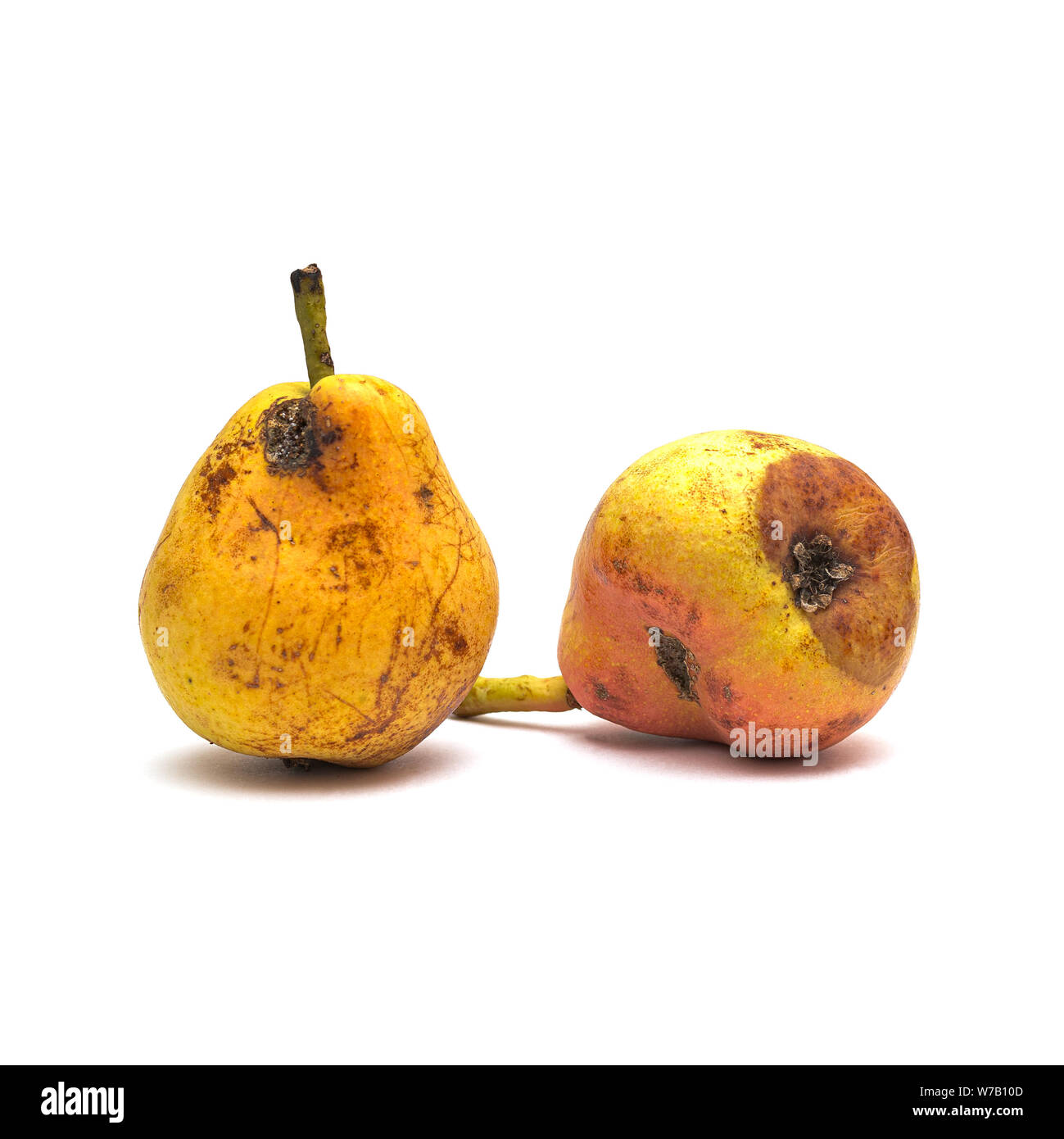 Rotten pear hi-res stock photography and images - Alamy