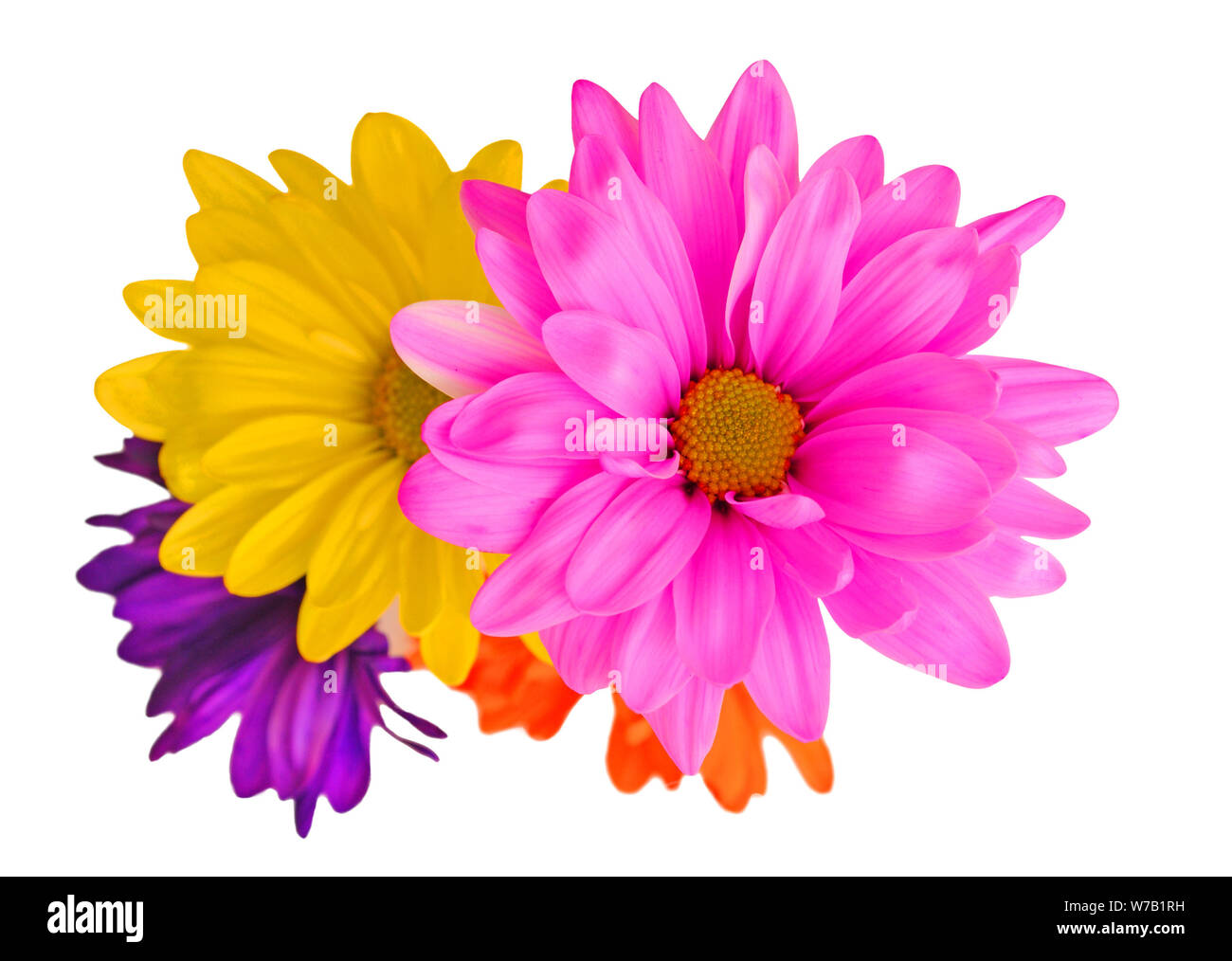 mix flower isolated on white background Stock Photo - Alamy