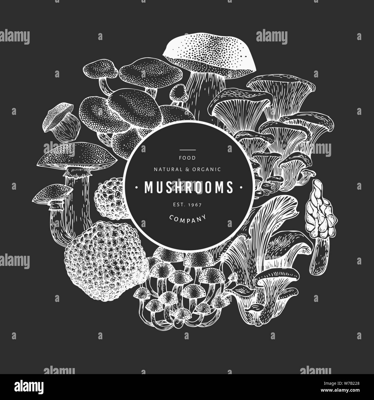 Mushroom design template. Hand drawn vector food illustration on chalk ...