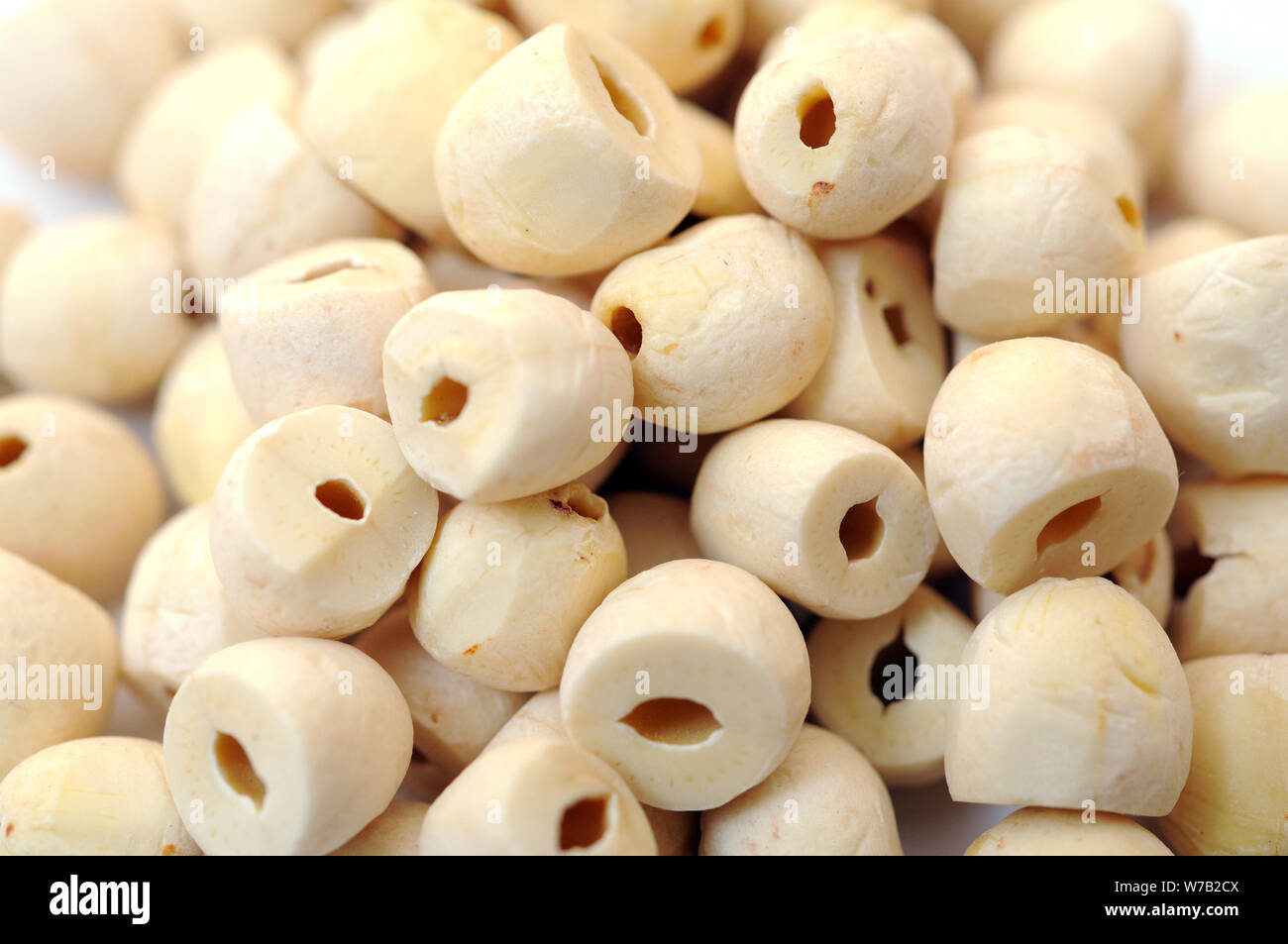 dried lotus seed for background uses Stock Photo - Alamy