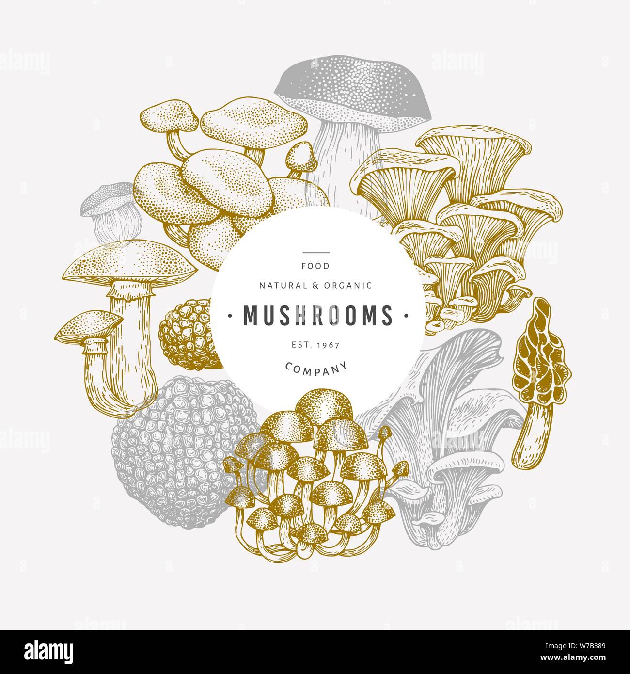 Mushroom design template. Hand drawn vector food illustration. Engraved ...
